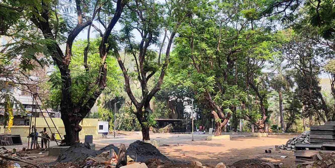 Miyawaki - Urban Forestation of Bandra - Bandra Buzz